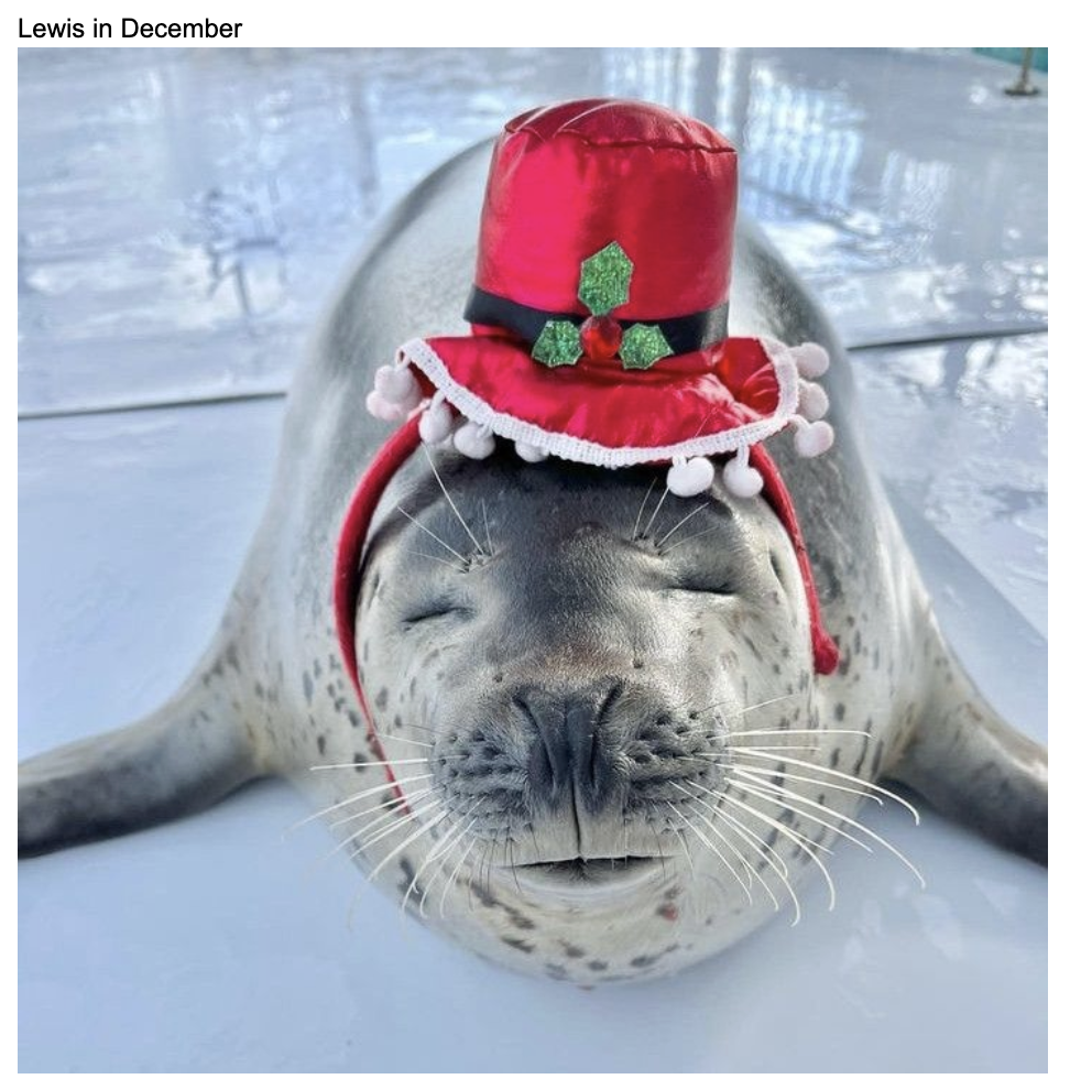 Meet “Lewis,” the City Seal – Ralston, Vermont's "Green Island" City