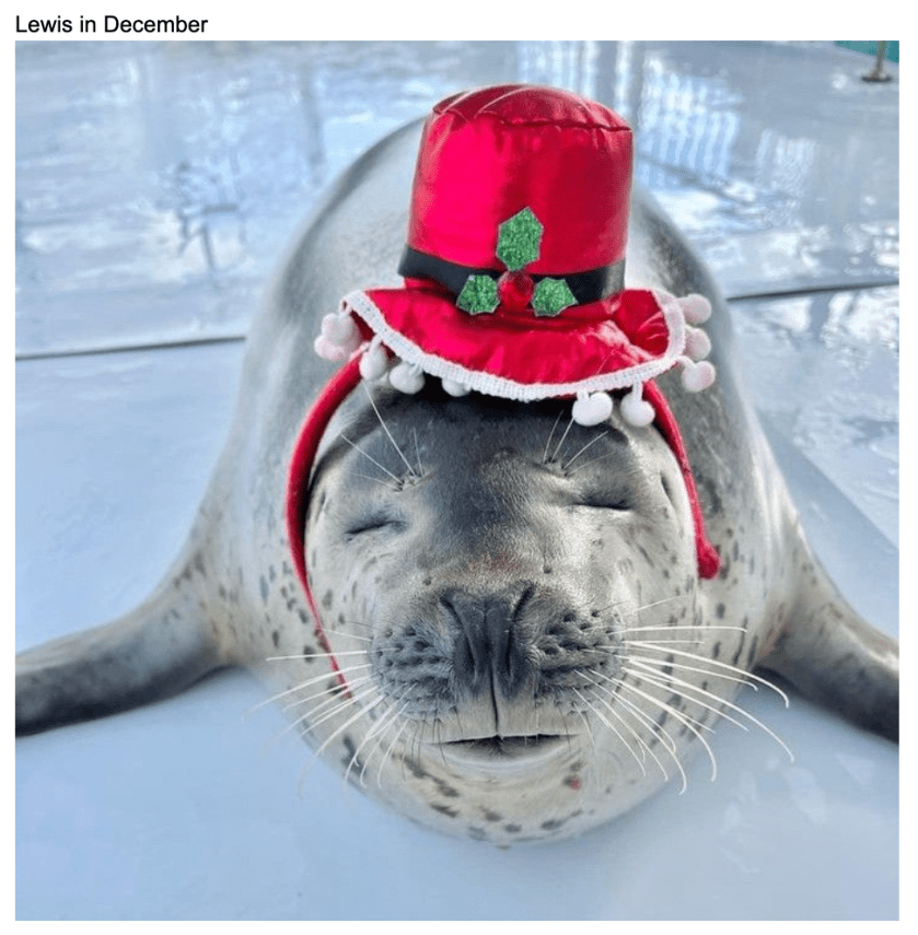 Meet “Lewis,” the City Seal – Ralston, Vermont's "Green Island" City
